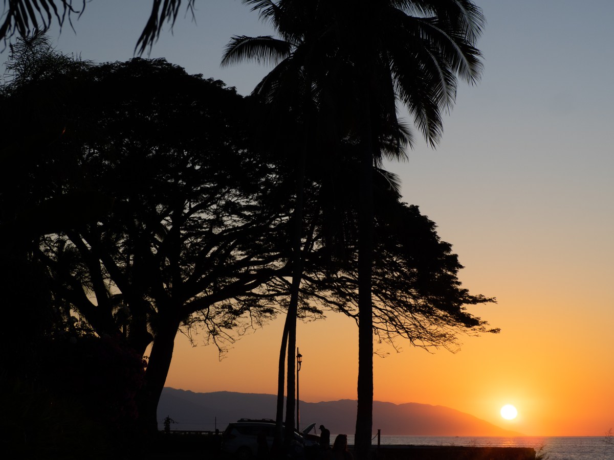 Shadows and Sherbet – Radical Earth